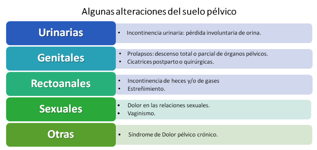 ¿Un fisioterapeuta para disfunciones del suelo pélvico? - Clínica Marín Cheste
